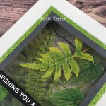 Leaves Shadowbox – Love To Scrap 2